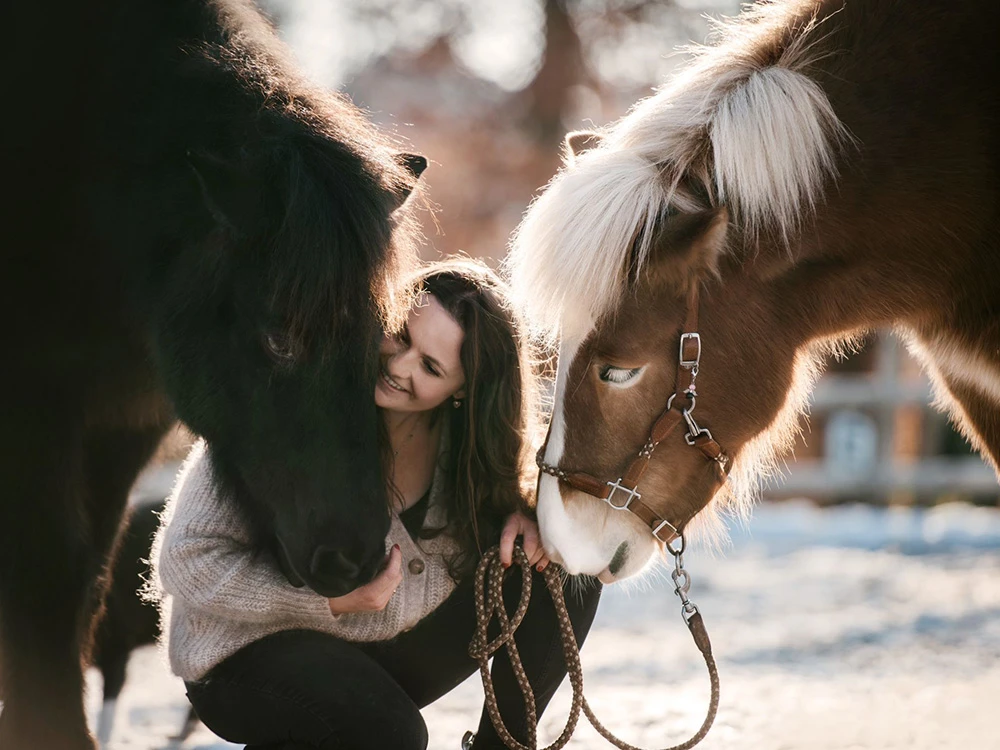 Jahresbetreuung Pferd, Pferdeosteopathie und Hundeosteopathie durch ...